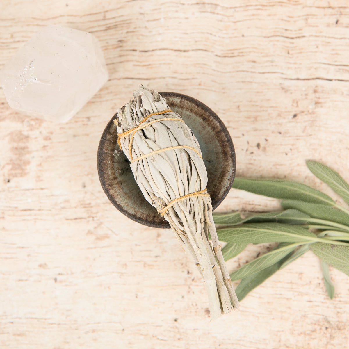 Earthlove - An Eco-Conscious Gift Shop